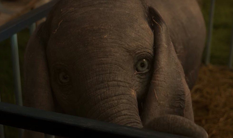 Dumbo | Vean su nuevo tráiler! | Play Reactor